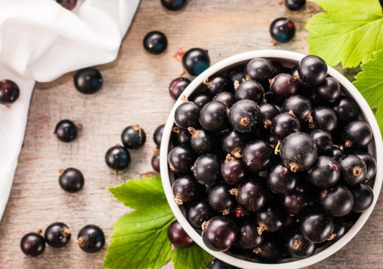 Die Acai-Beere – ist die Superfrucht wirklich eine Wunderbeere?